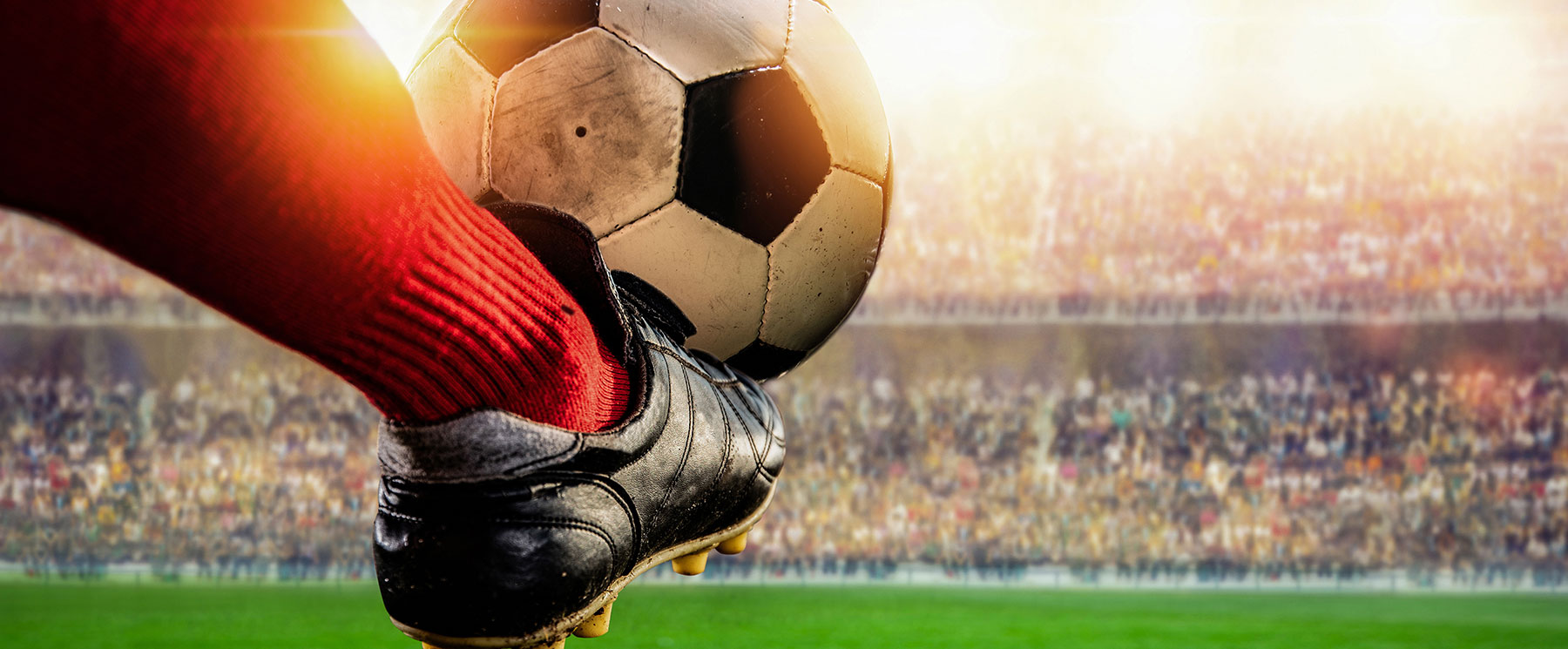 +impact | Serco Plus Impact